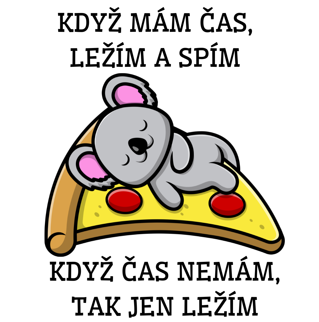 Vtipné plecháčky - Cedule-Cedulky.cz, Strana 4